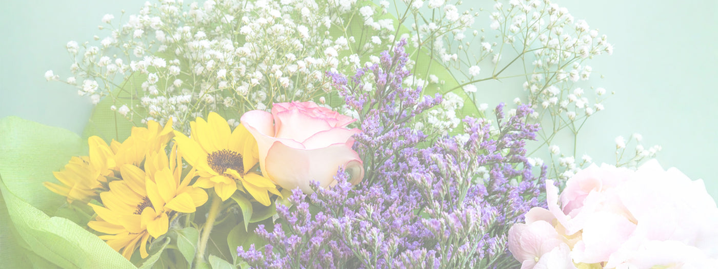 Send Blooms | Canadian Flower Delivery | Gift Basket Delivery