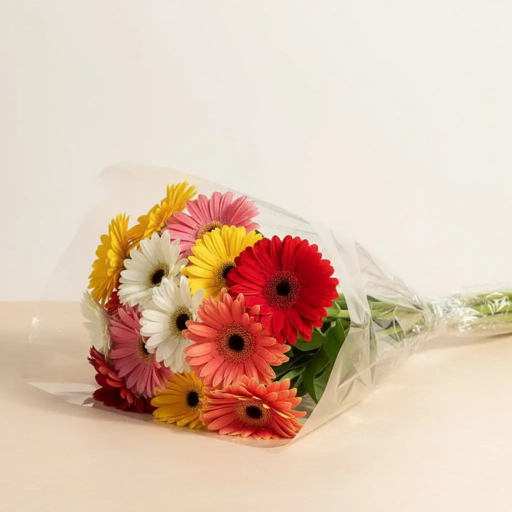 Vibrant Rainbow Gerbera Daisy Flower Bouquet Delivery - Send Blooms